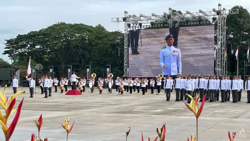 SAF formally establishes Digital and Intelligence Service - CNA